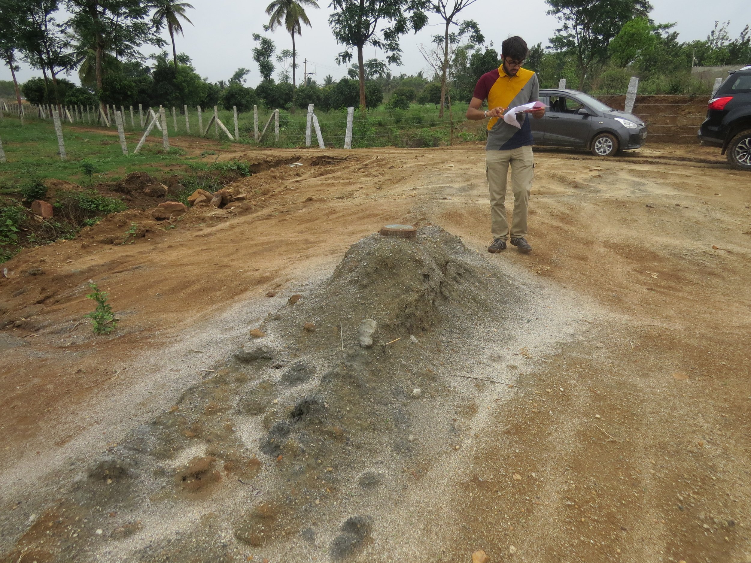 Harohalli — Ananas