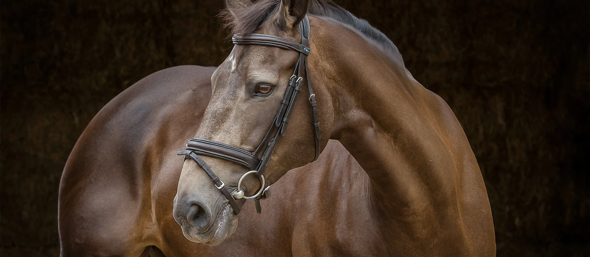 Deanne Ward Photography