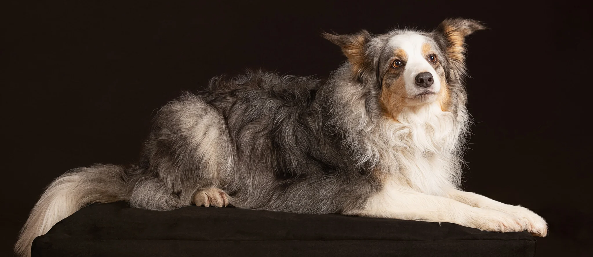 Deanne Ward Photography