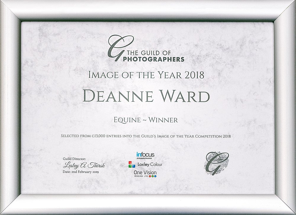 Deanne Ward Photography