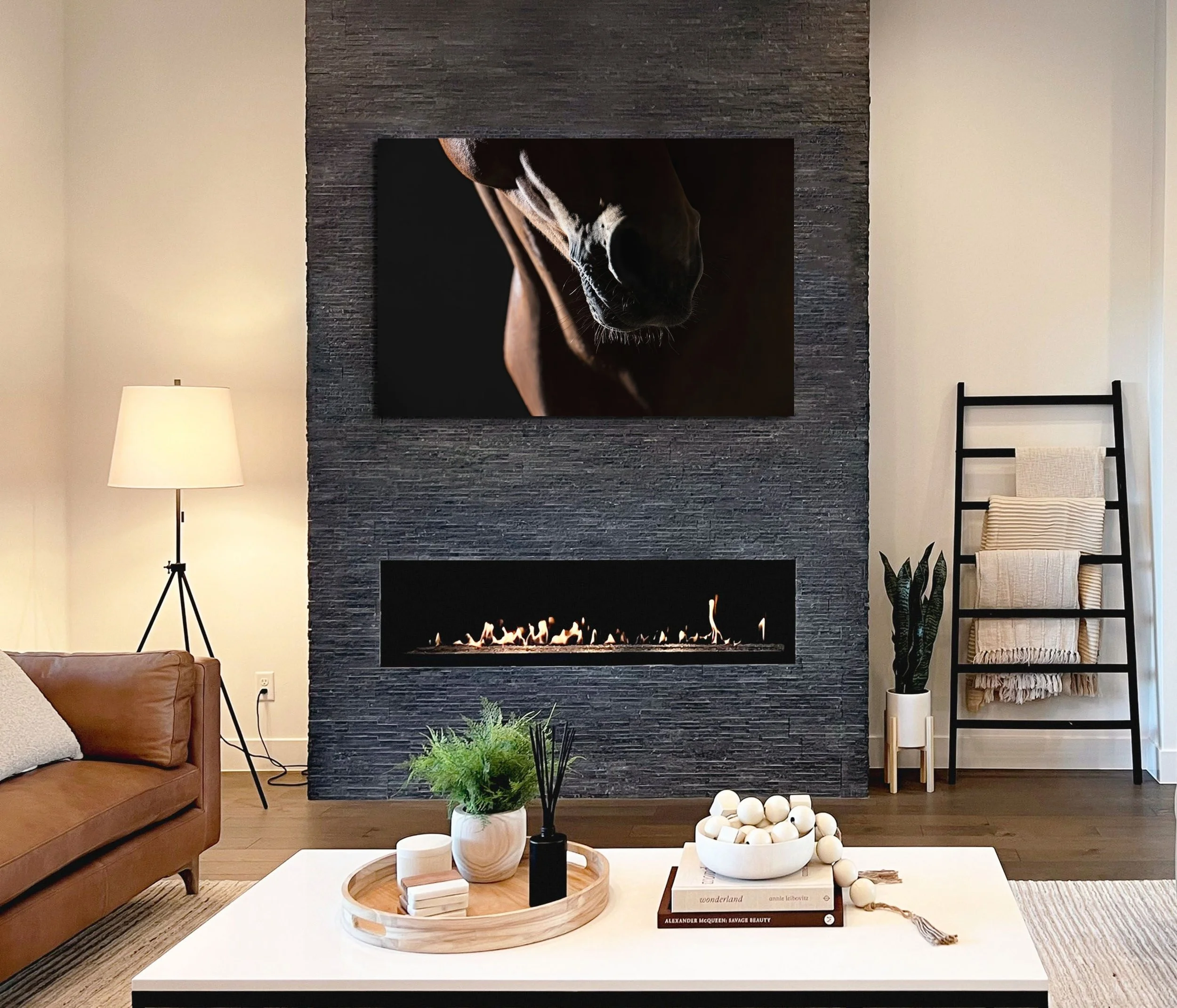 Deanne Ward Photography - Sentinel