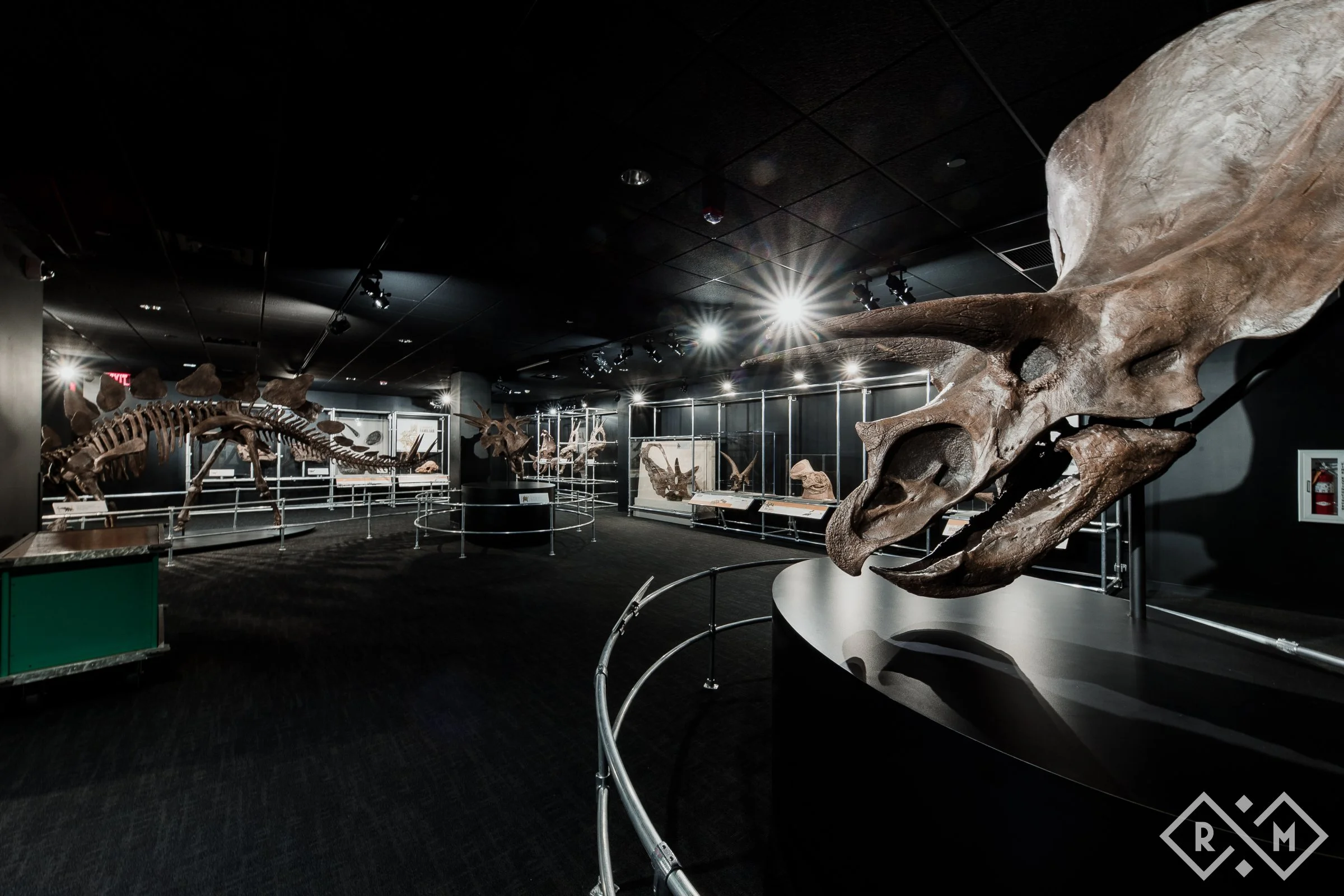 Dinosaur Exhibit at COSI - Commercial Photography Columbus, Ohio ...