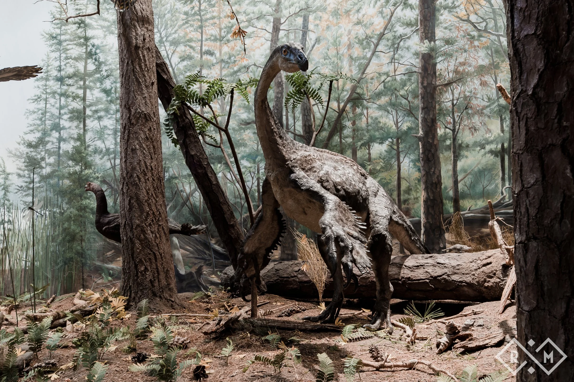 Dinosaur Exhibit at COSI - Commercial Photography Columbus, Ohio ...