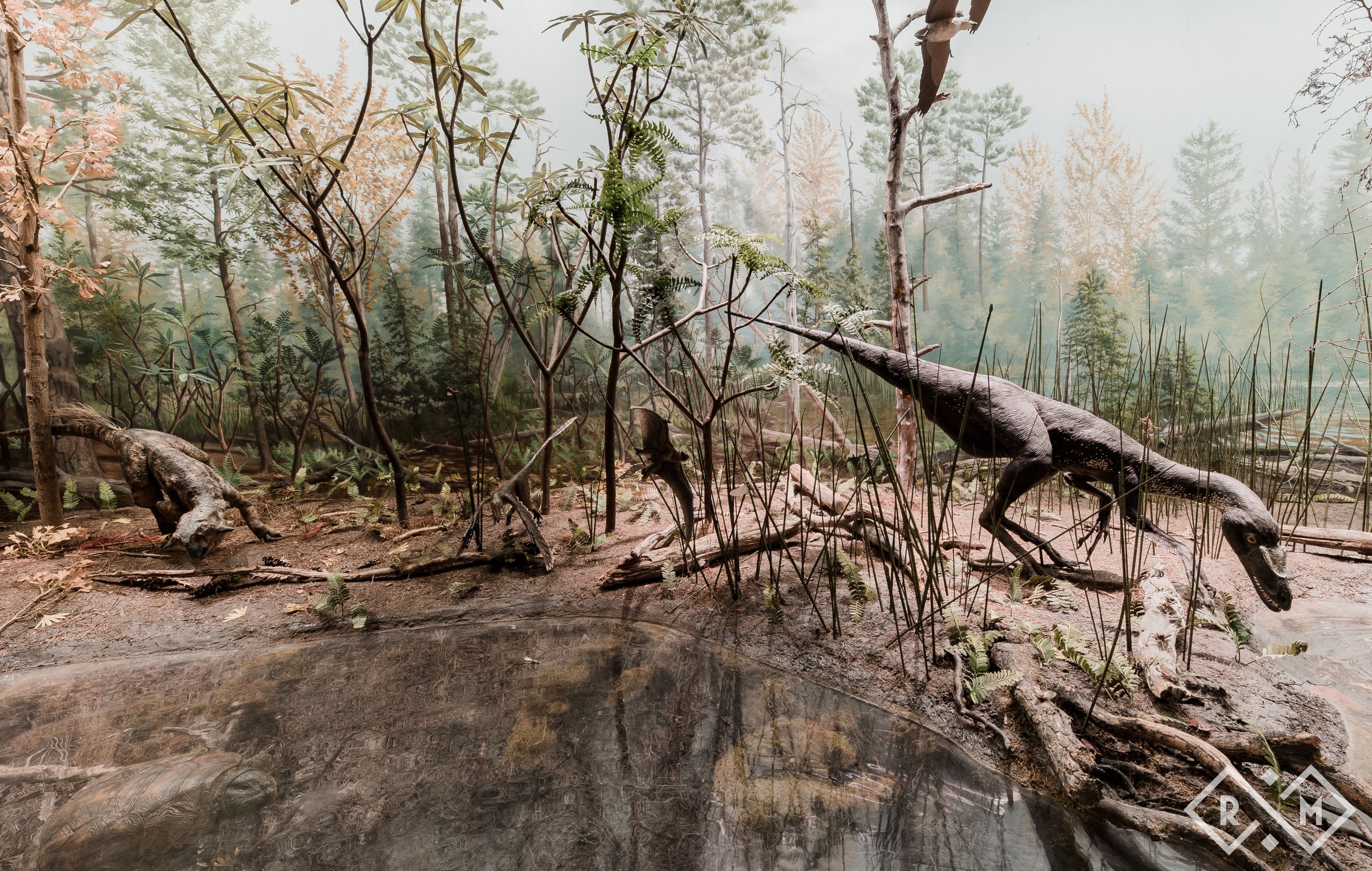 Dinosaur Exhibit at COSI - Commercial Photography Columbus, Ohio ...
