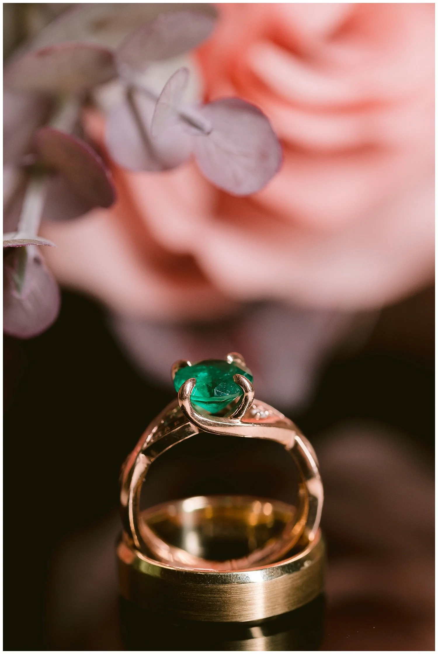 Shahnaz And Isaac's Wedding At Franklin Park Conservatory ...