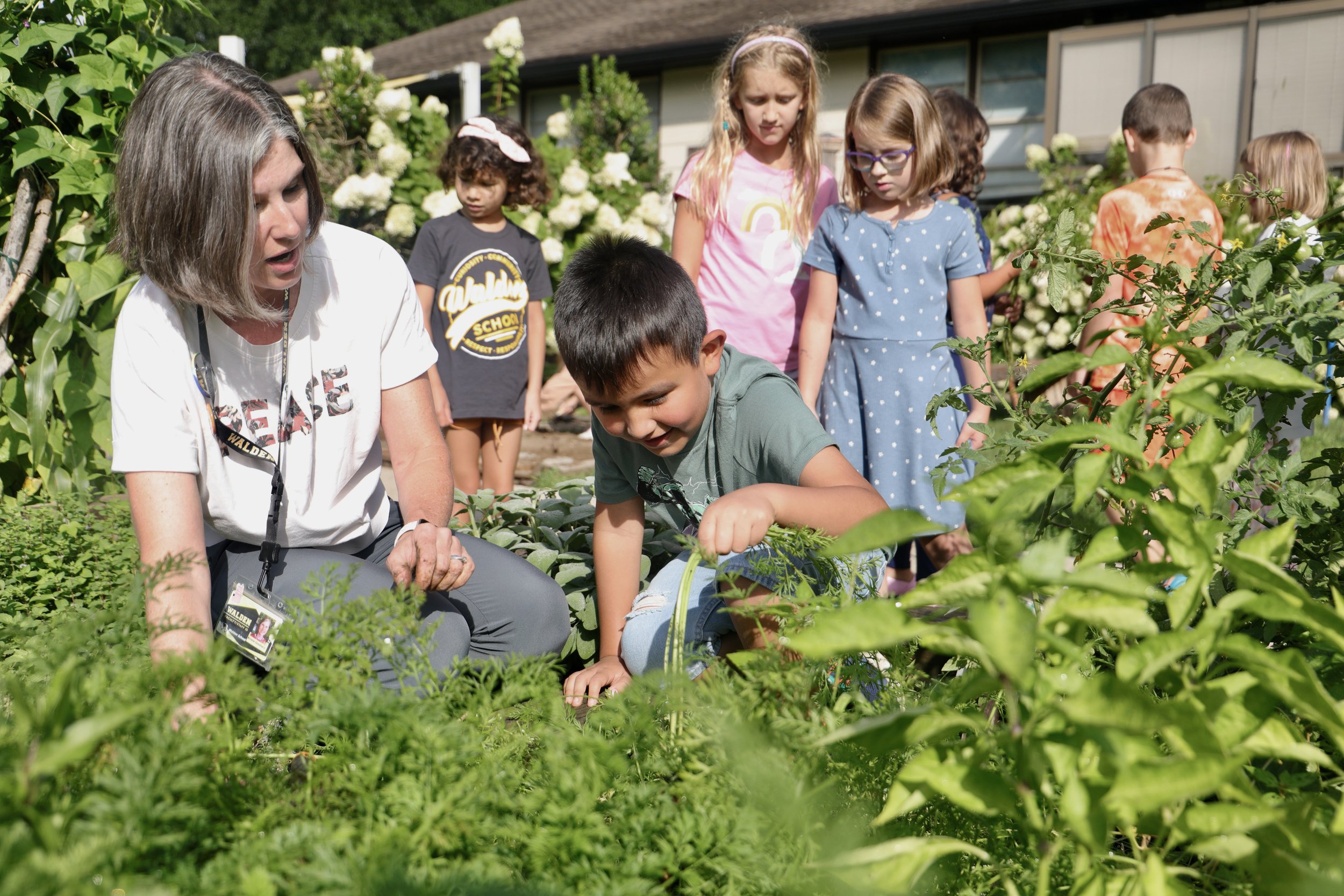 Career Opportunities — Walden School