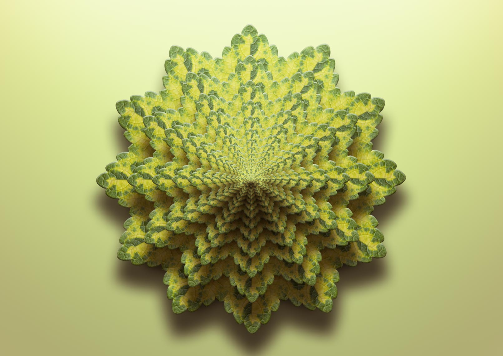 Matt Walford Photography