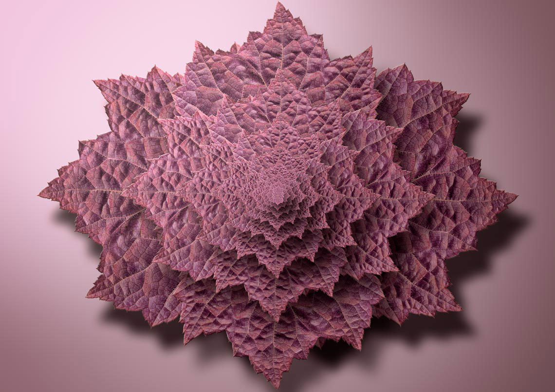 Matt Walford Photography