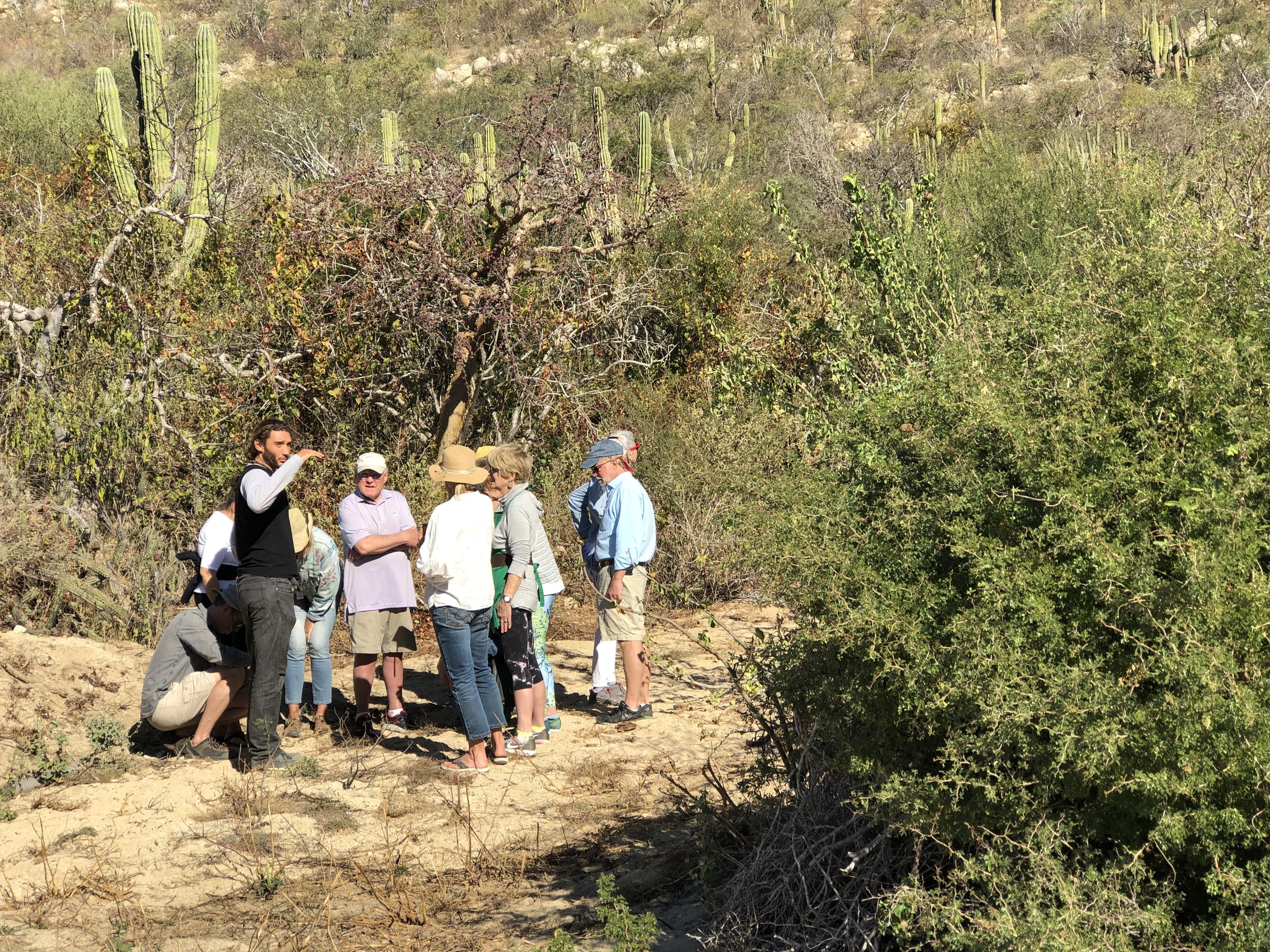 farm blog — Flora Farms