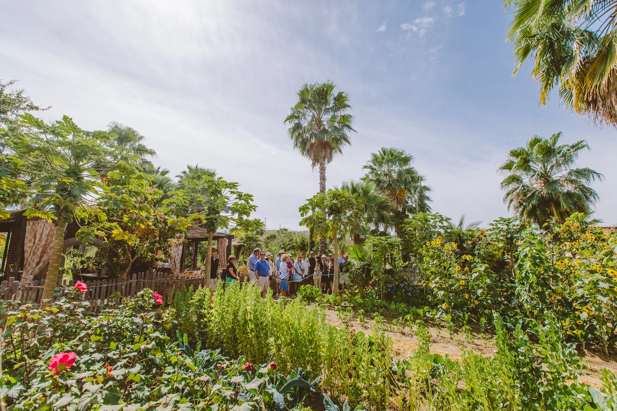 Flora's Field Kitchen — Flora Farms
