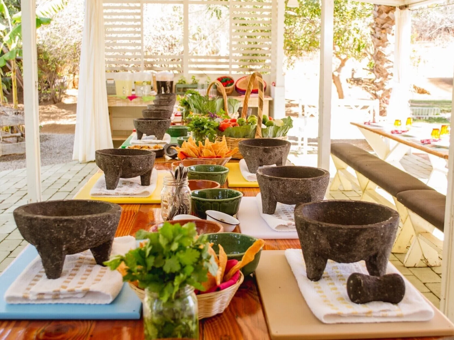 Experiences — Flora Farms