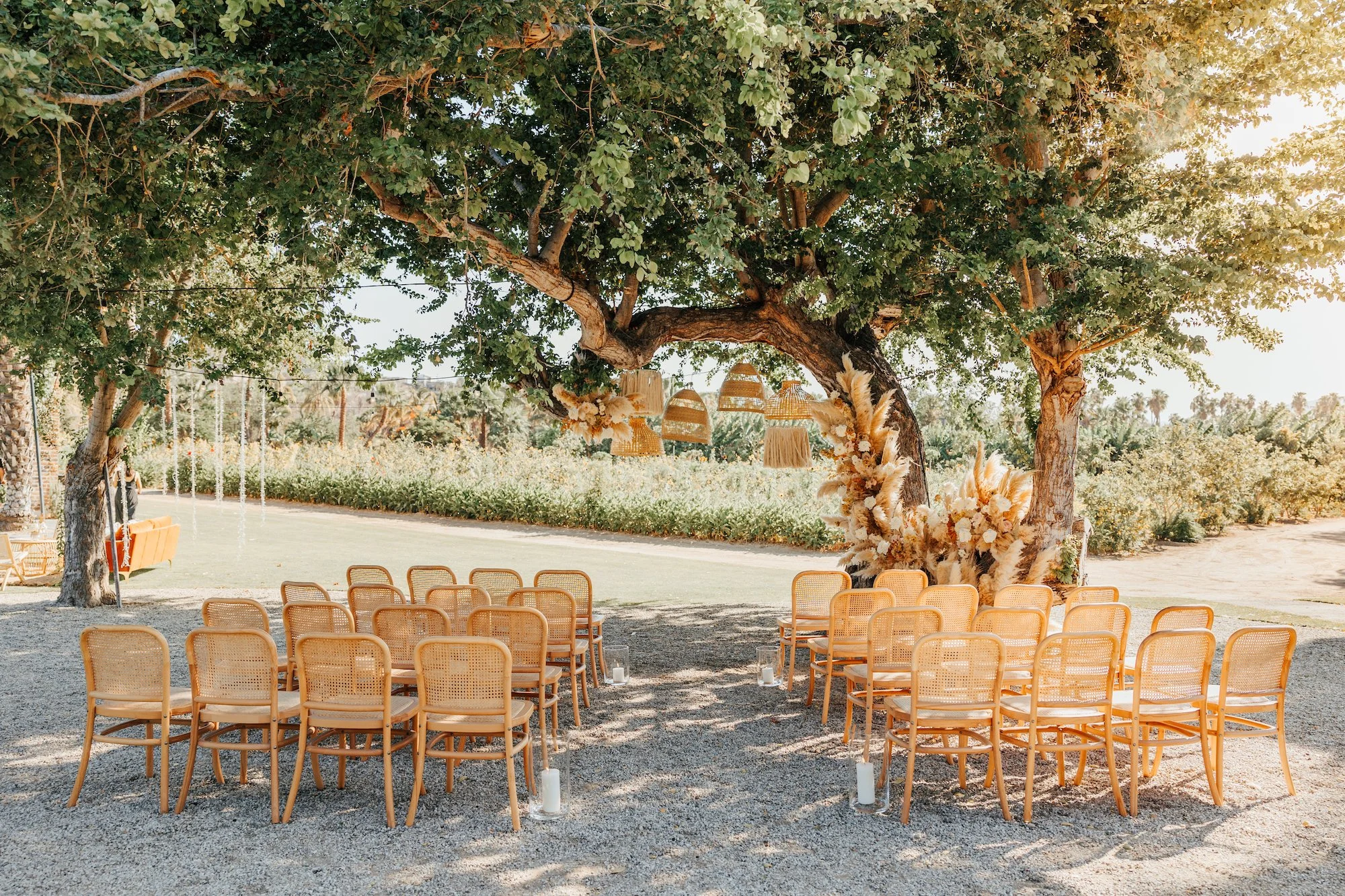 Celebrations — Flora Farms