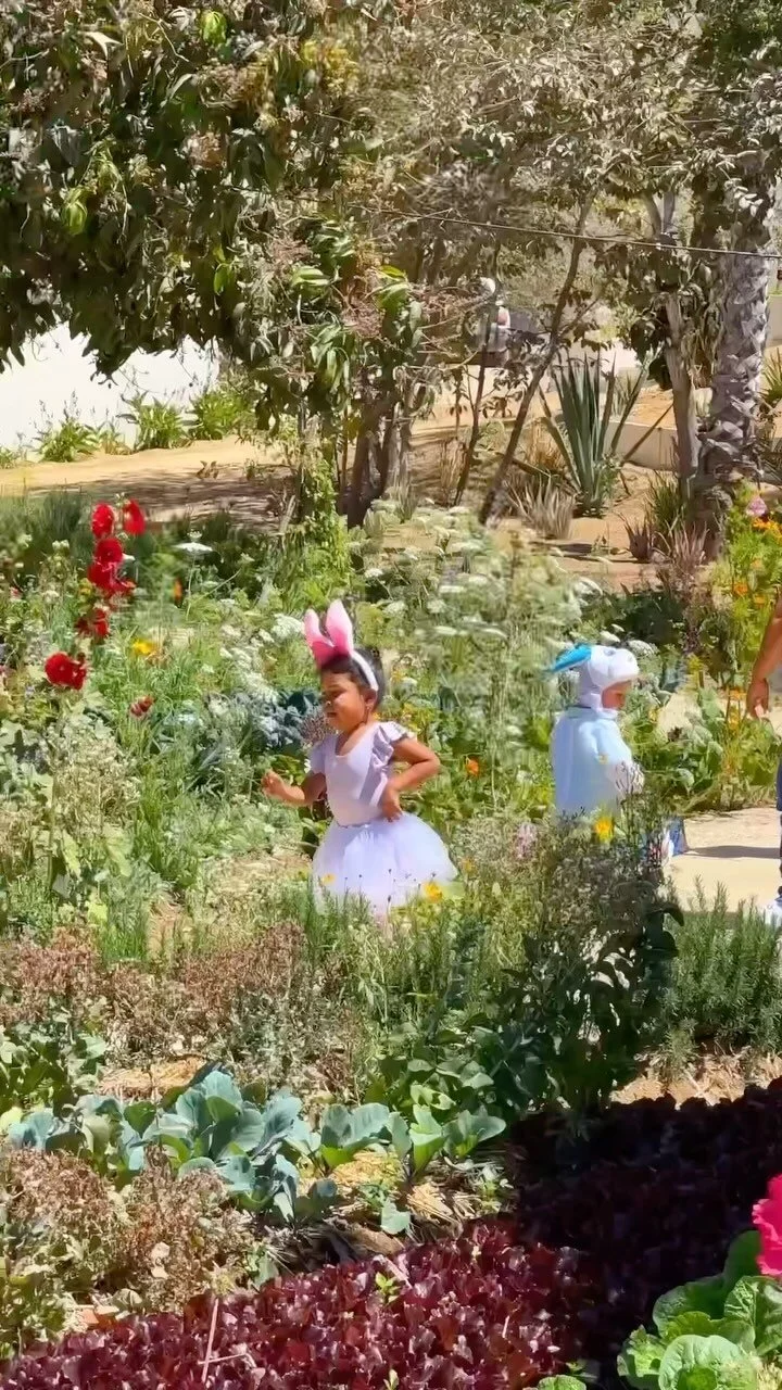 Cooking Classes — Flora Farms