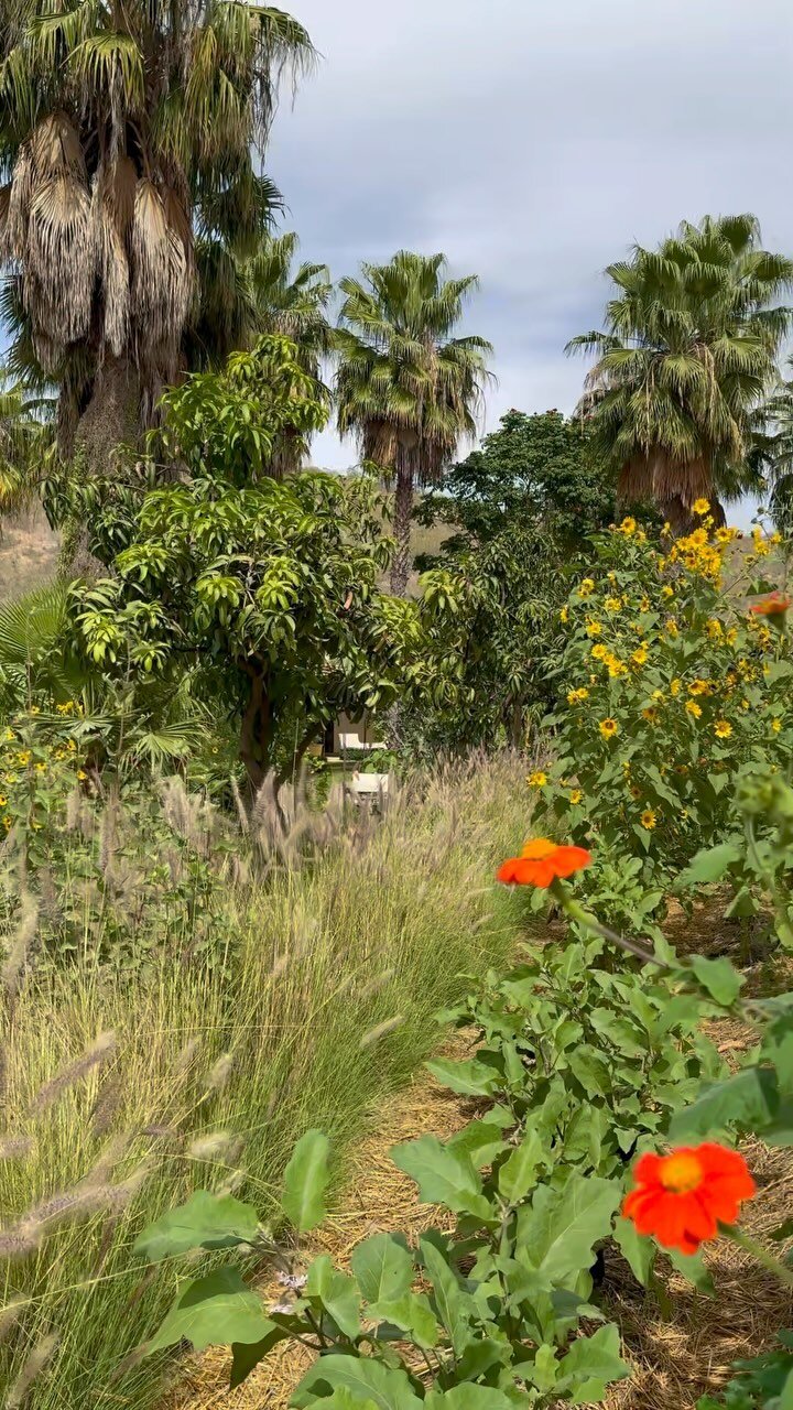 Cooking Classes — Flora Farms