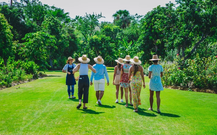 Experiences — Flora Farms