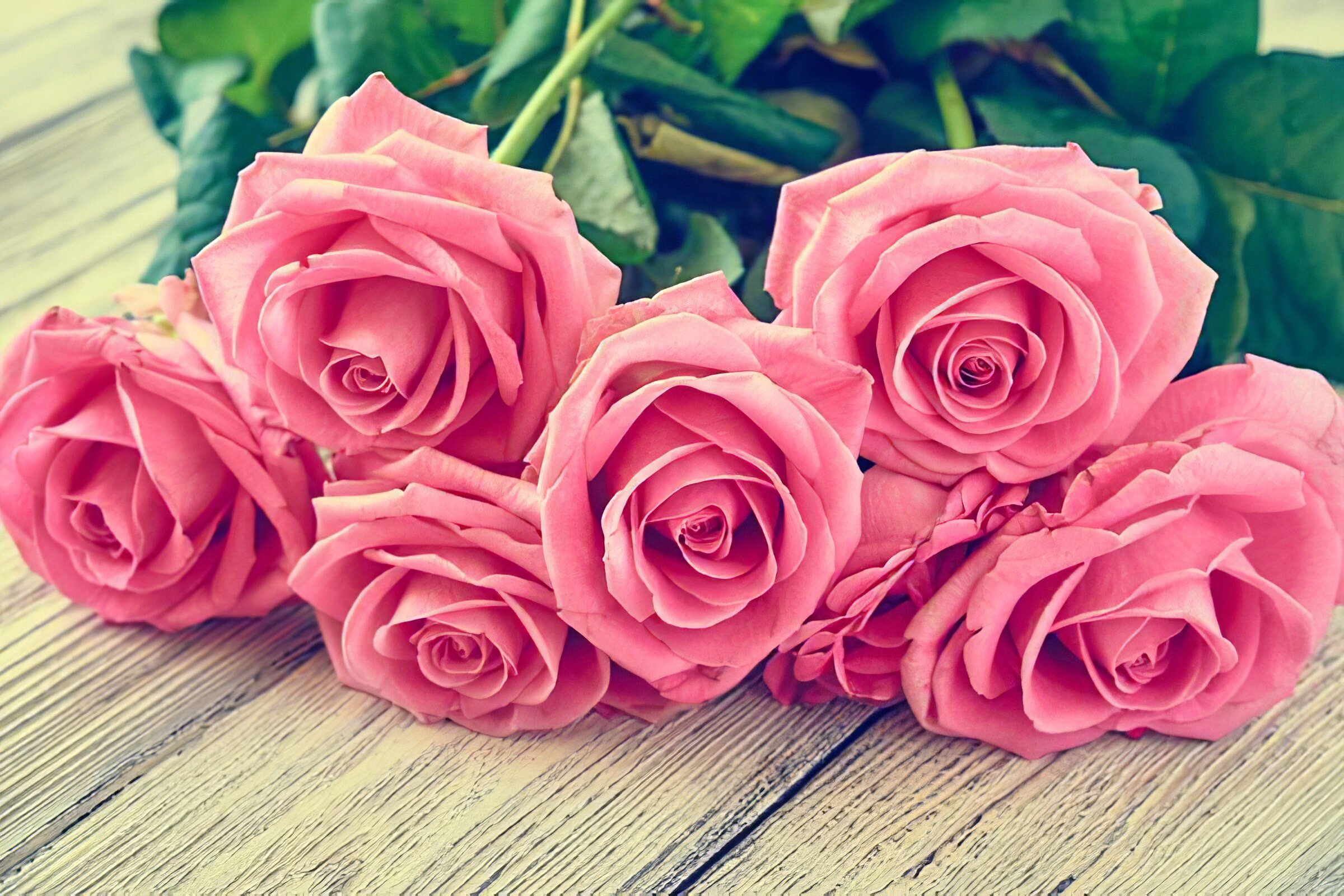 Robin V. Photography