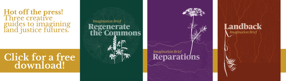 About the Land Justice Project — Nuns & Nones