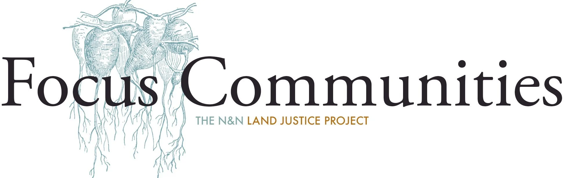 Focus Communities — Nuns & Nones