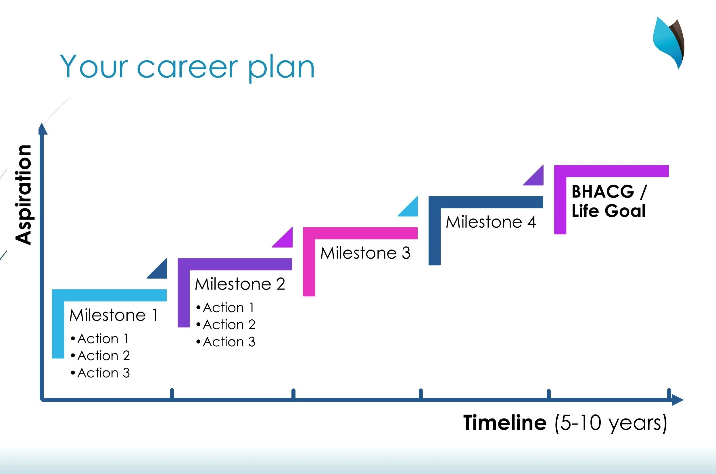 The Drivers Seat — Ulysses Professional Coaching