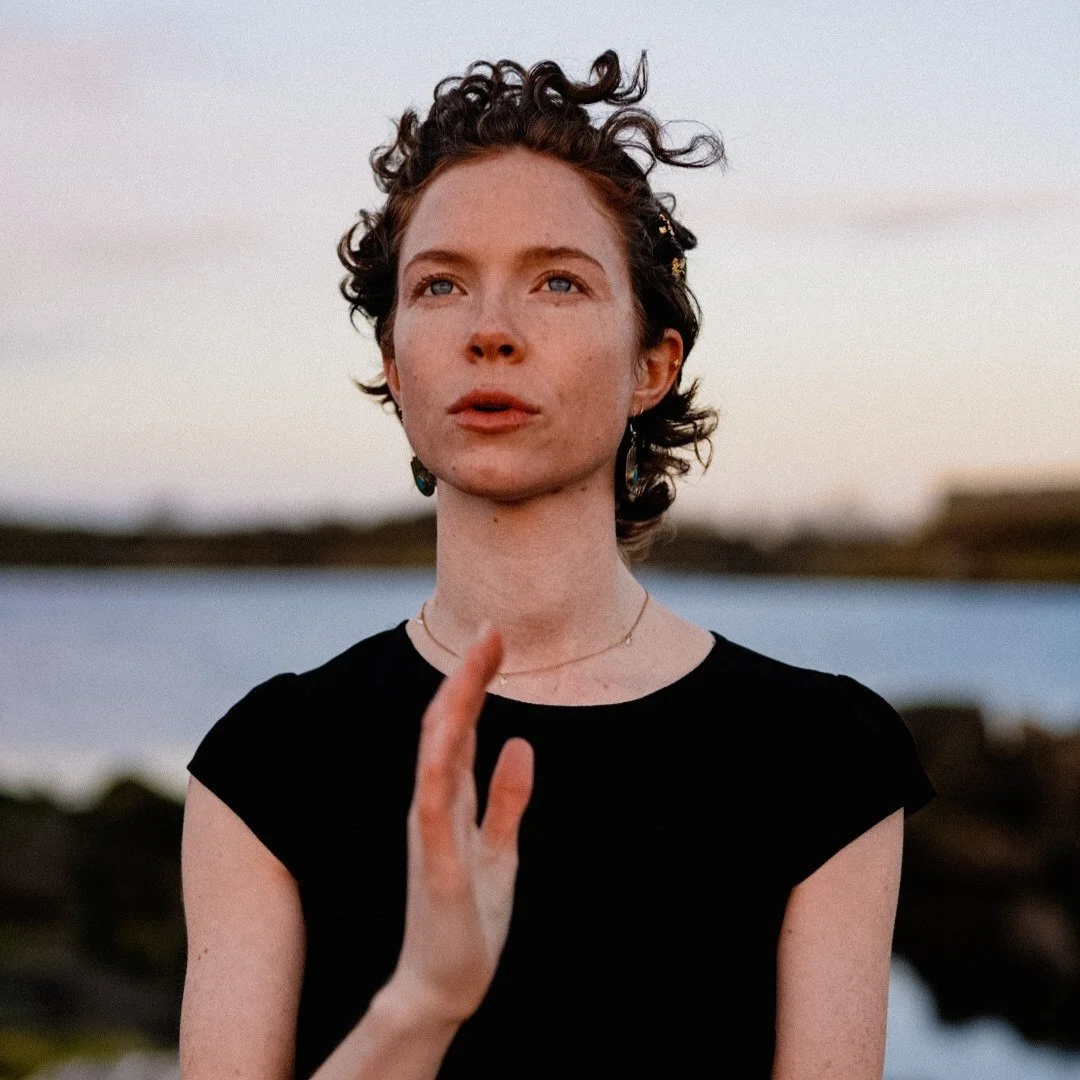 Hedge School - What's involved? An Online Home School for our times ...