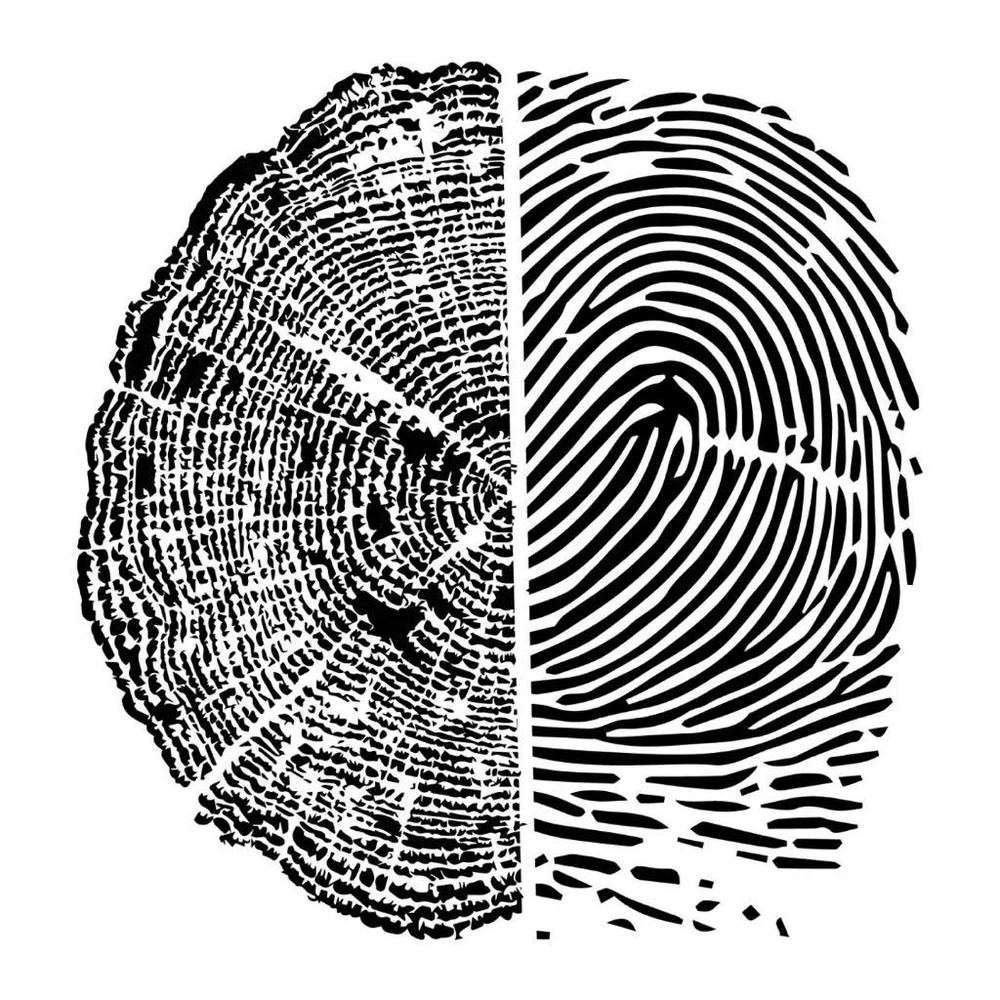 The Nudge | Sign Up Page — The Trailblazery