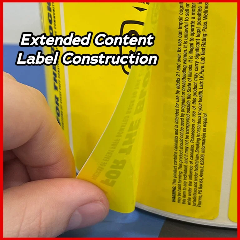 Primary Labels — CCS