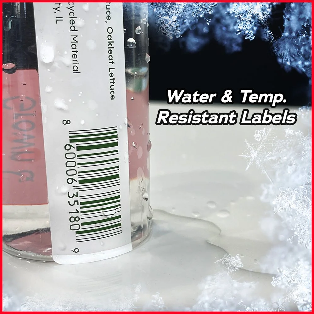 Primary Labels — CCS