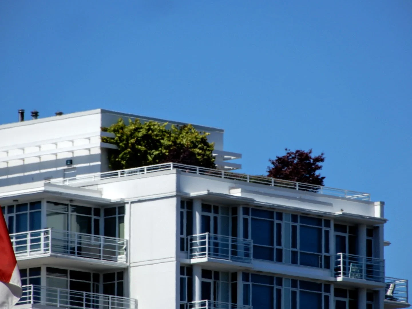 Rooftop City - Could Victoria be Making Better Use of Our Building Tops ...
