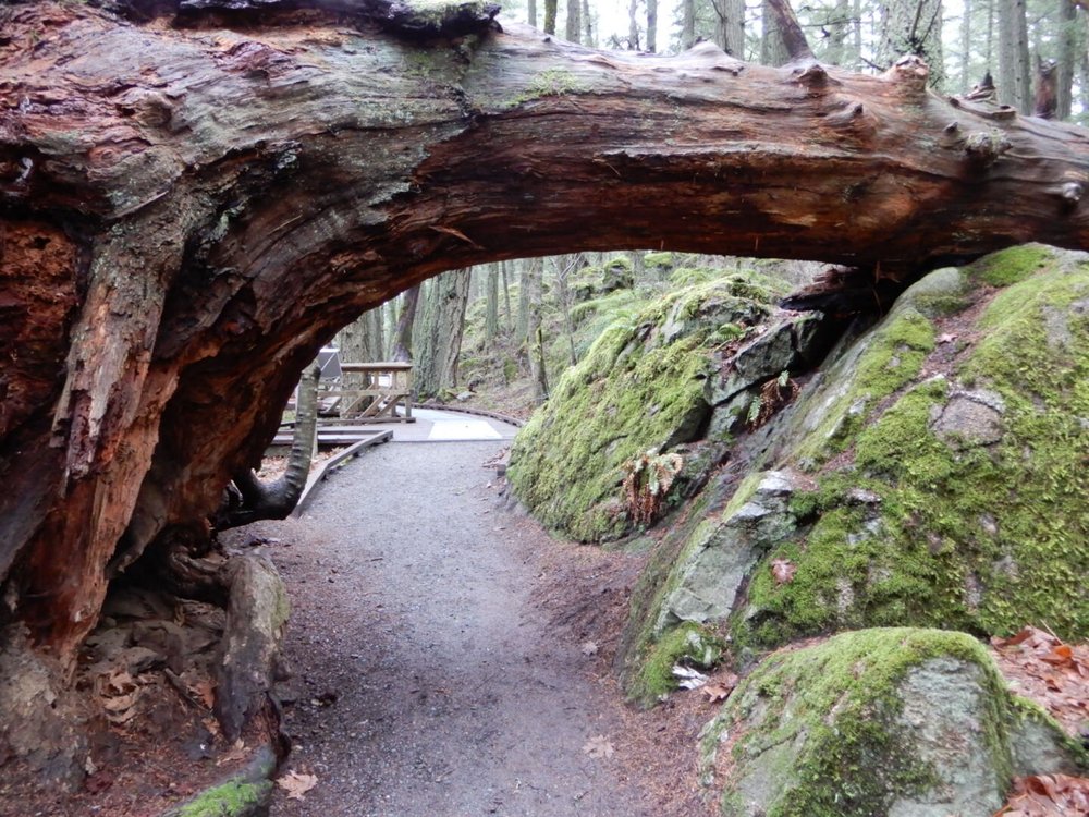 Exploring Francis / King Regional Park — Sidewalking Victoria