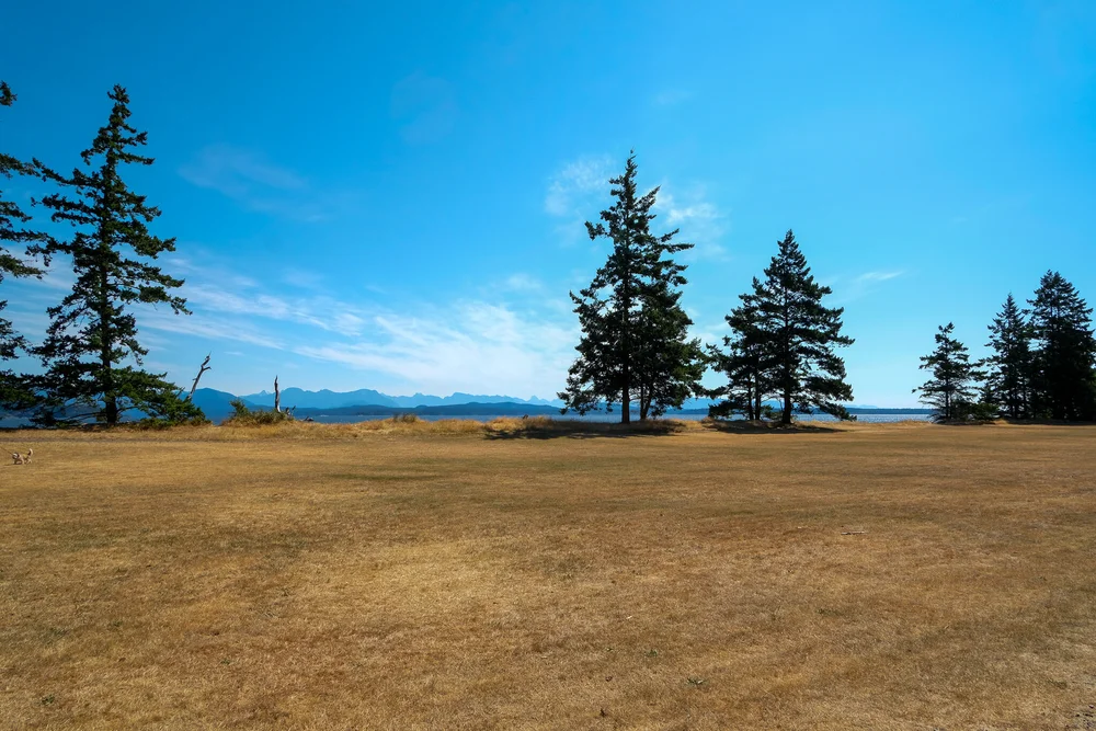 Sidewalking Quadra and Cortes Islands — Sidewalking Victoria
