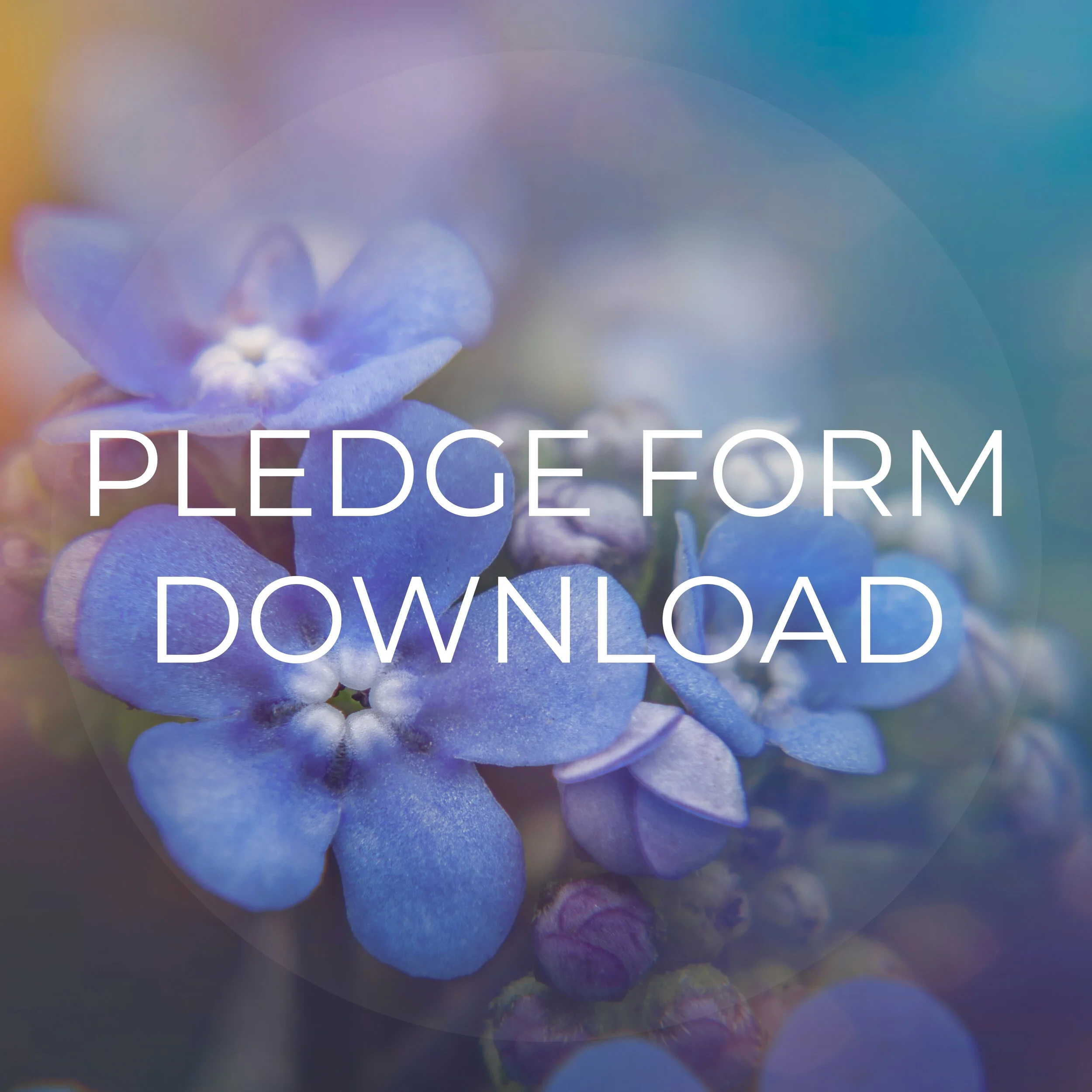 Store | Empty Arms Perinatal Loss Support Services