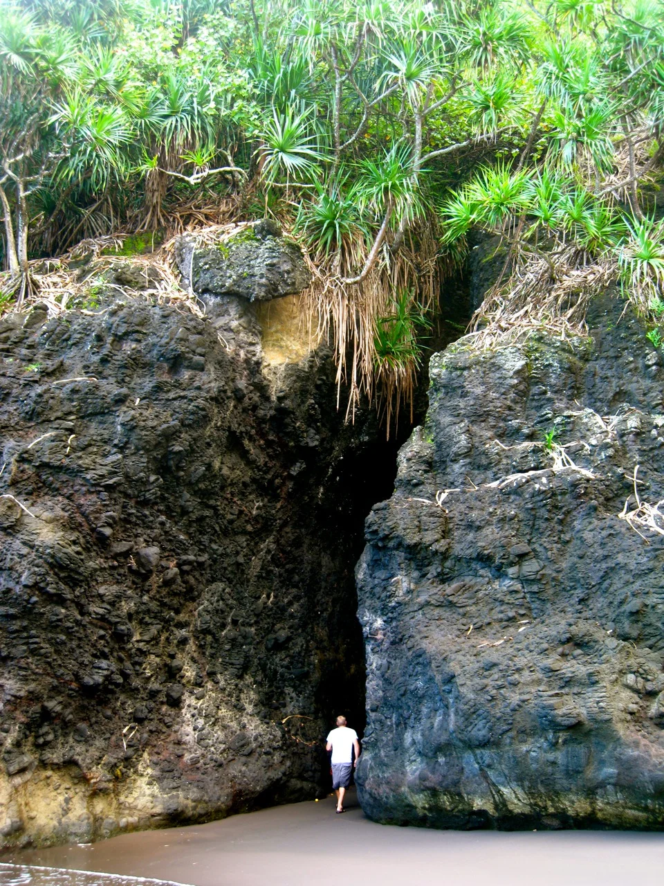 Hawaii Inter-Island Charters – Experience the Diversity of the Islands ...