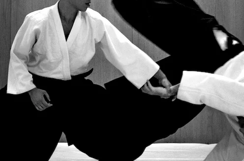 Zen Training — Chozen-ji