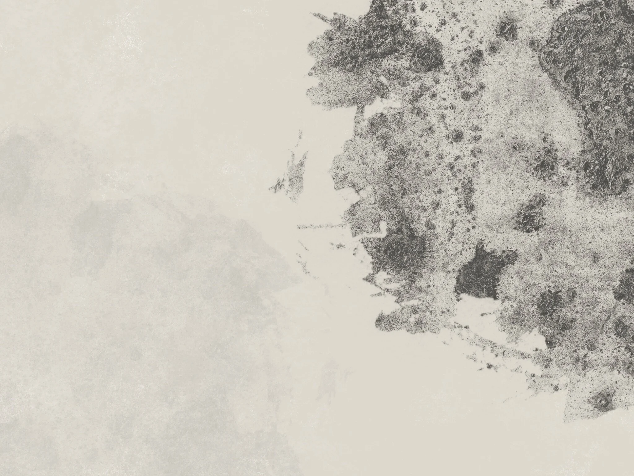 Clients Booking — The Lab-Lounge - Nothing 2 Doo with Hair