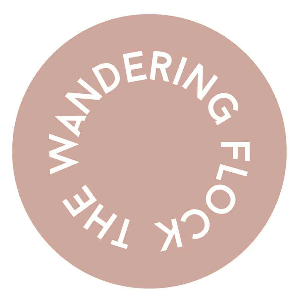 What We Carry — String Thing Studio