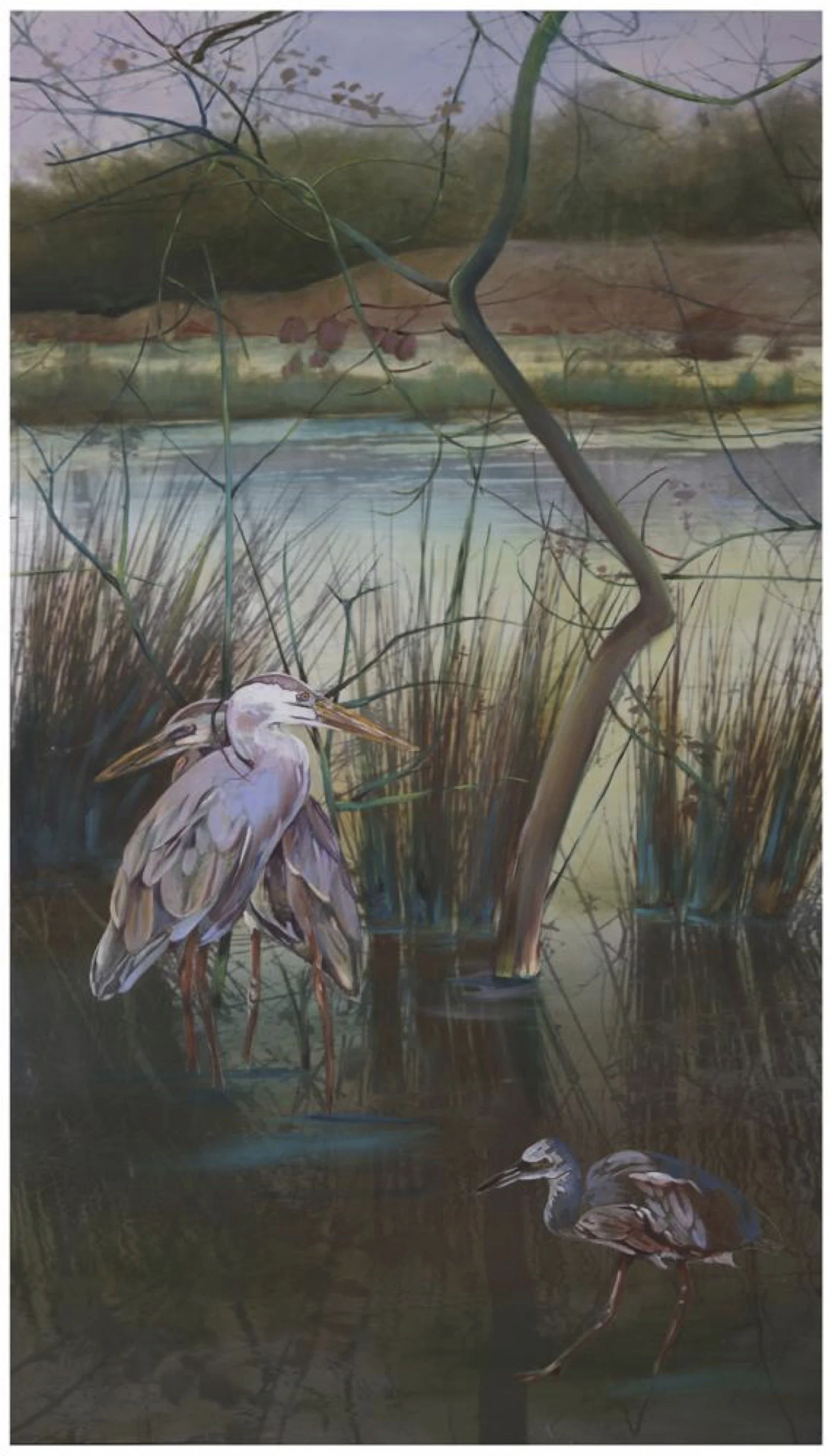 Janice Freeman — Heidi Vaughan Fine Art