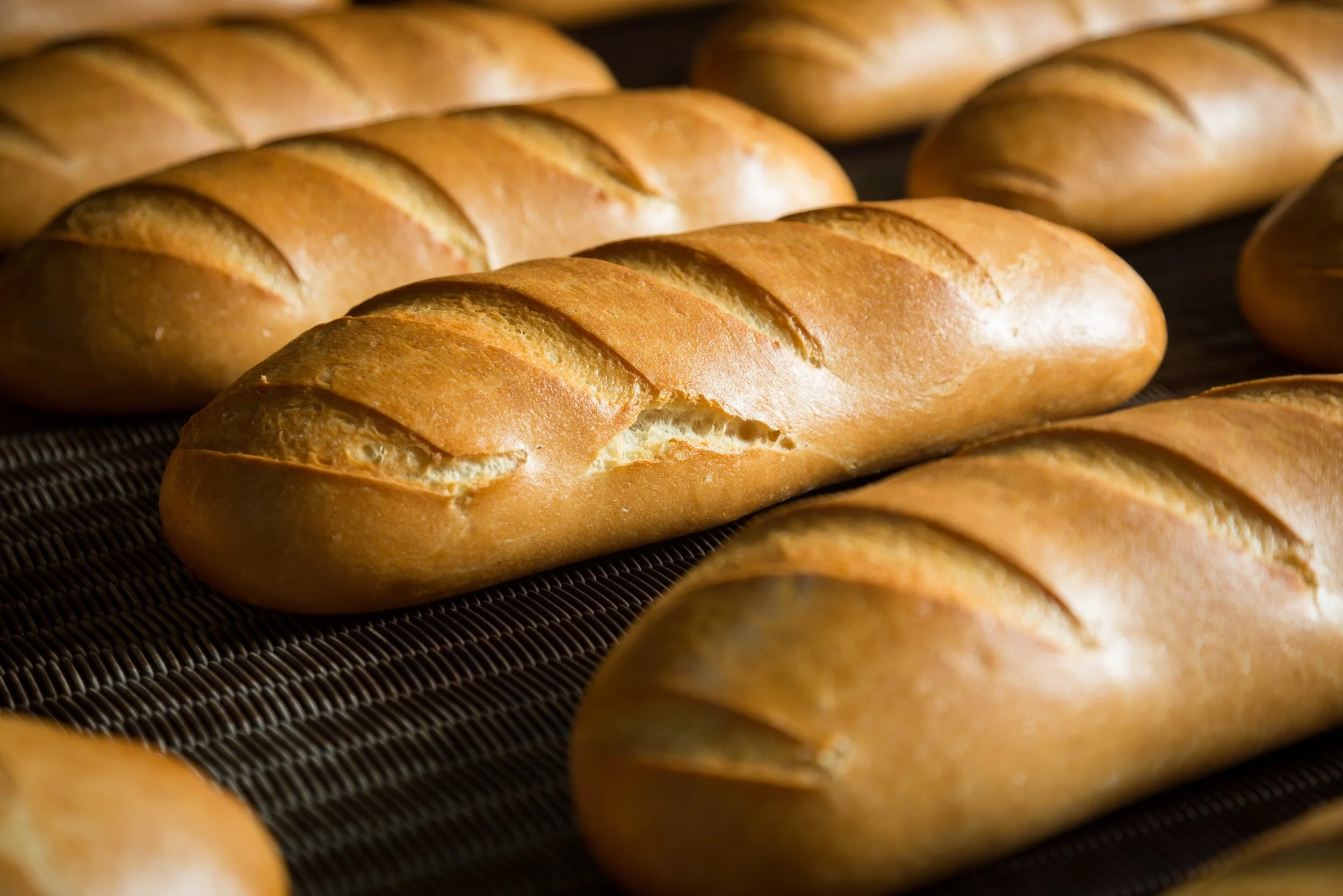 Food Processing — Diversified Building Services