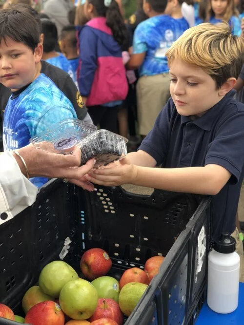 BLUE ZONES PROJECT — North Hi Mount Elementary PTA