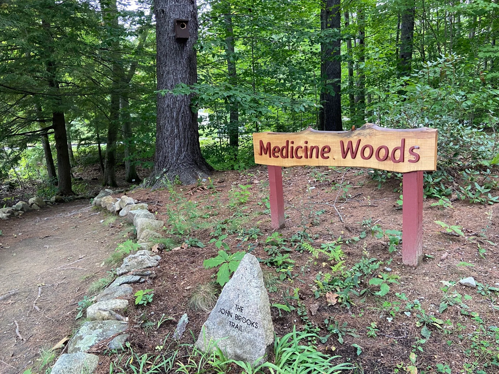 Mt. Kearsarge Indian Museum