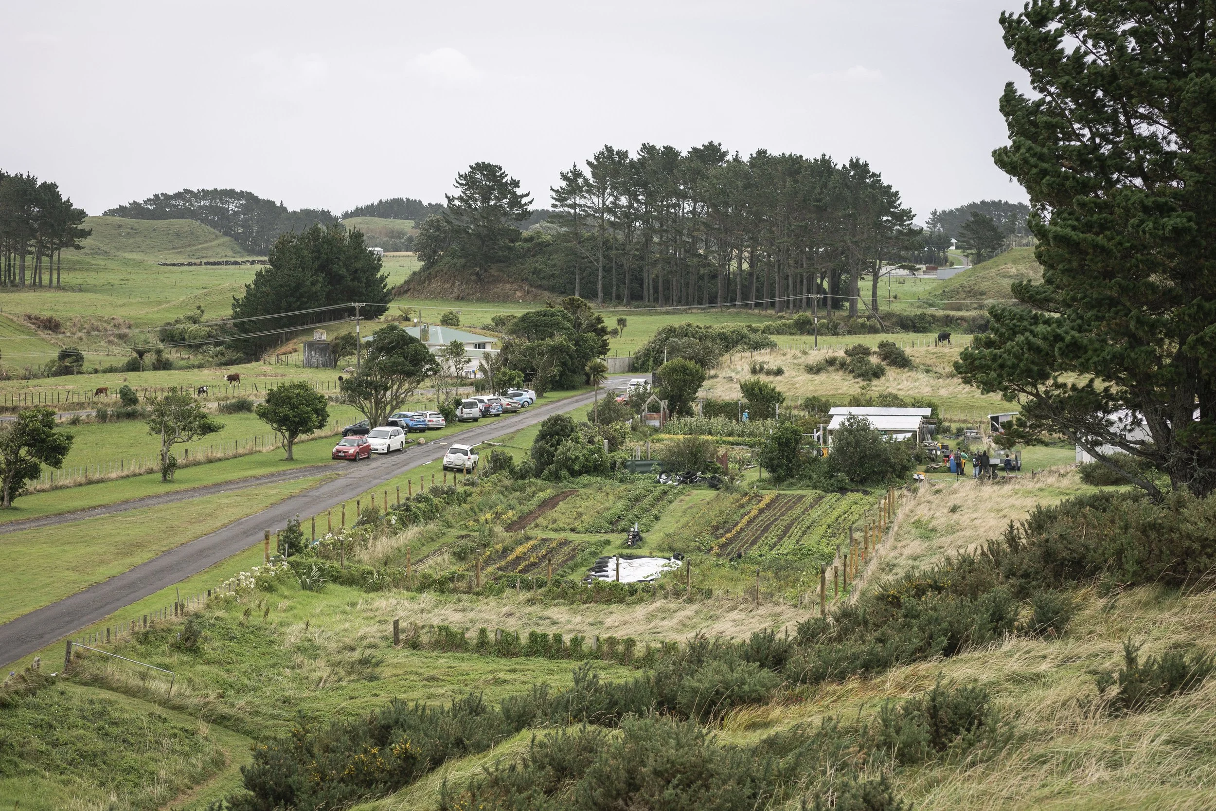 The Kuku Biochar Project, MARCH 2023 — drawing open