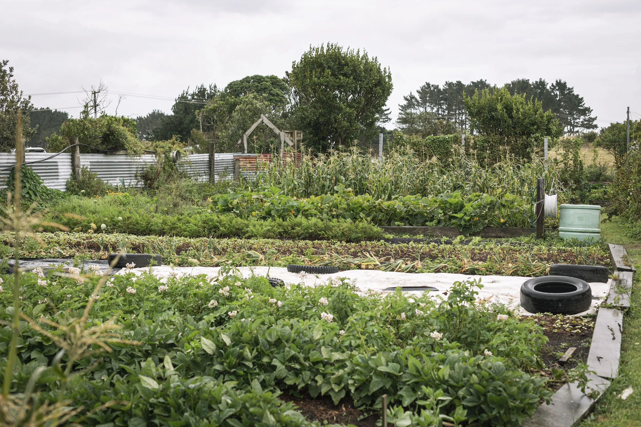 The Kuku Biochar Project, FEBRUARY 2023 — drawing open