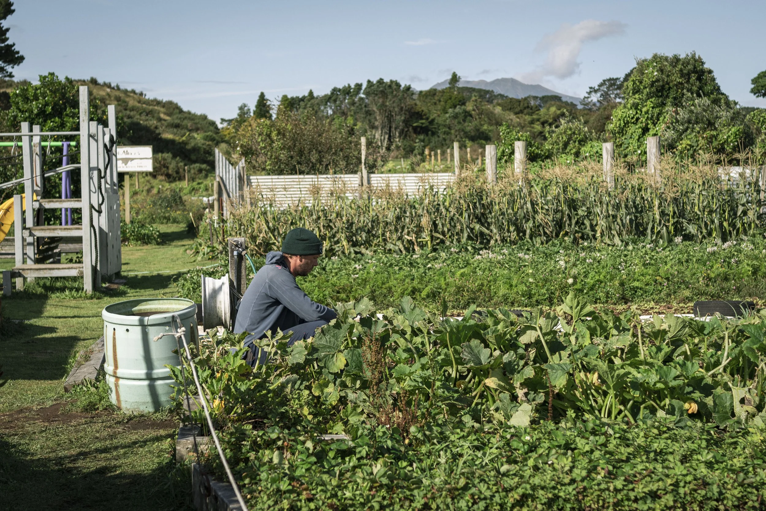 The Kuku Biochar Project, FEBRUARY 2023 — drawing open