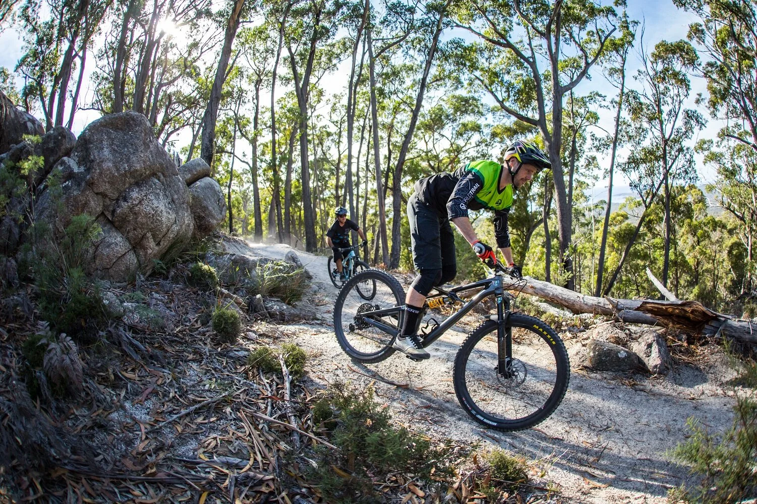St Helen's MTB Trails