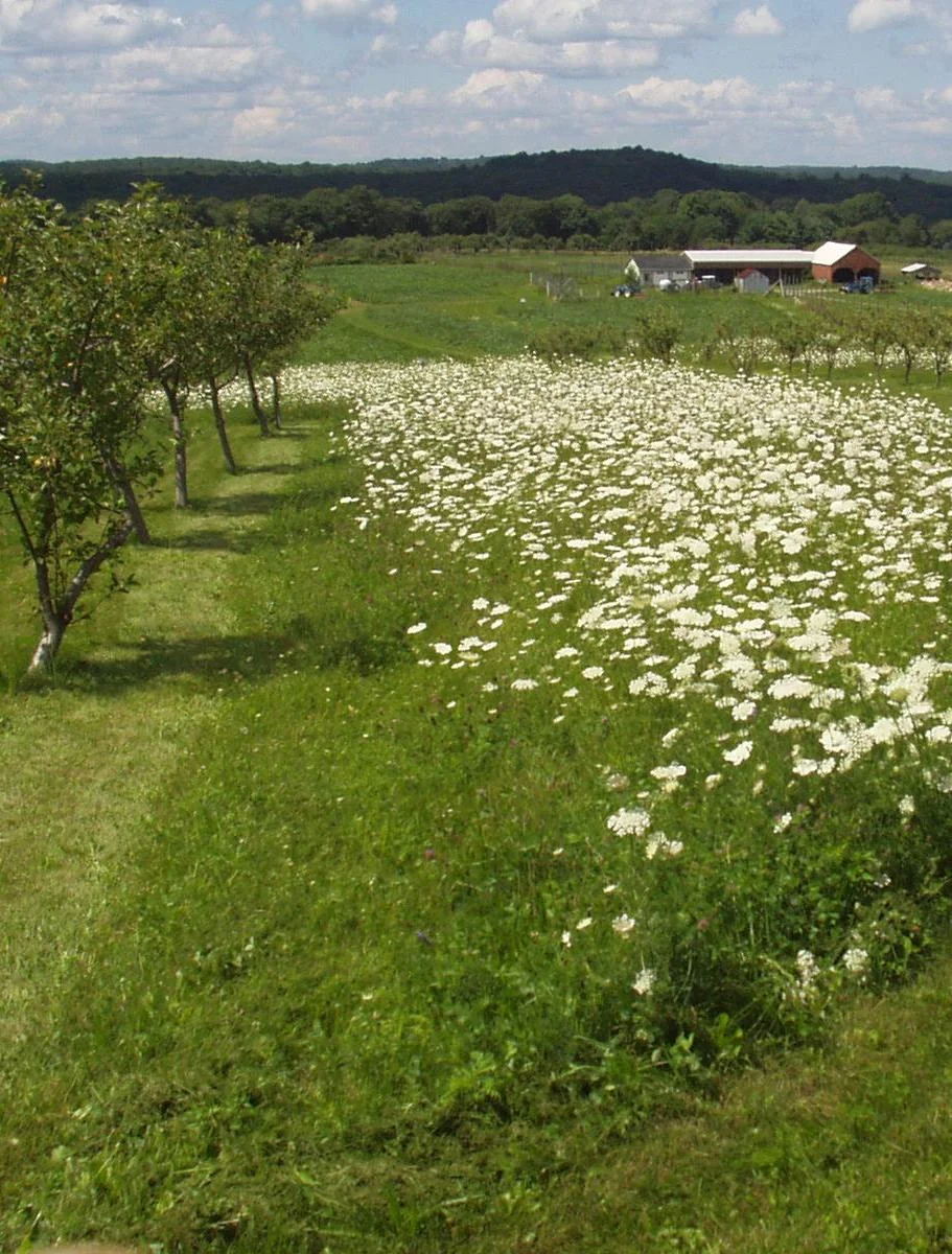 Caring For The Land — Aspetuck Land Trust
