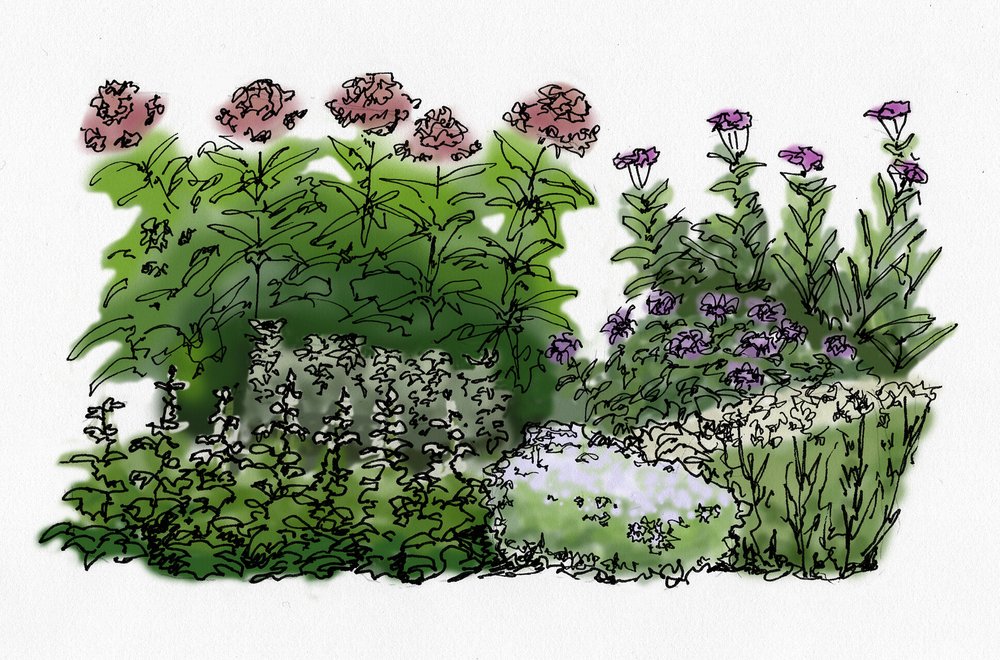 Pollinator Garden Plan — Aspetuck Land Trust