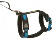 Harnesses — Homeskooling 4 Dogs