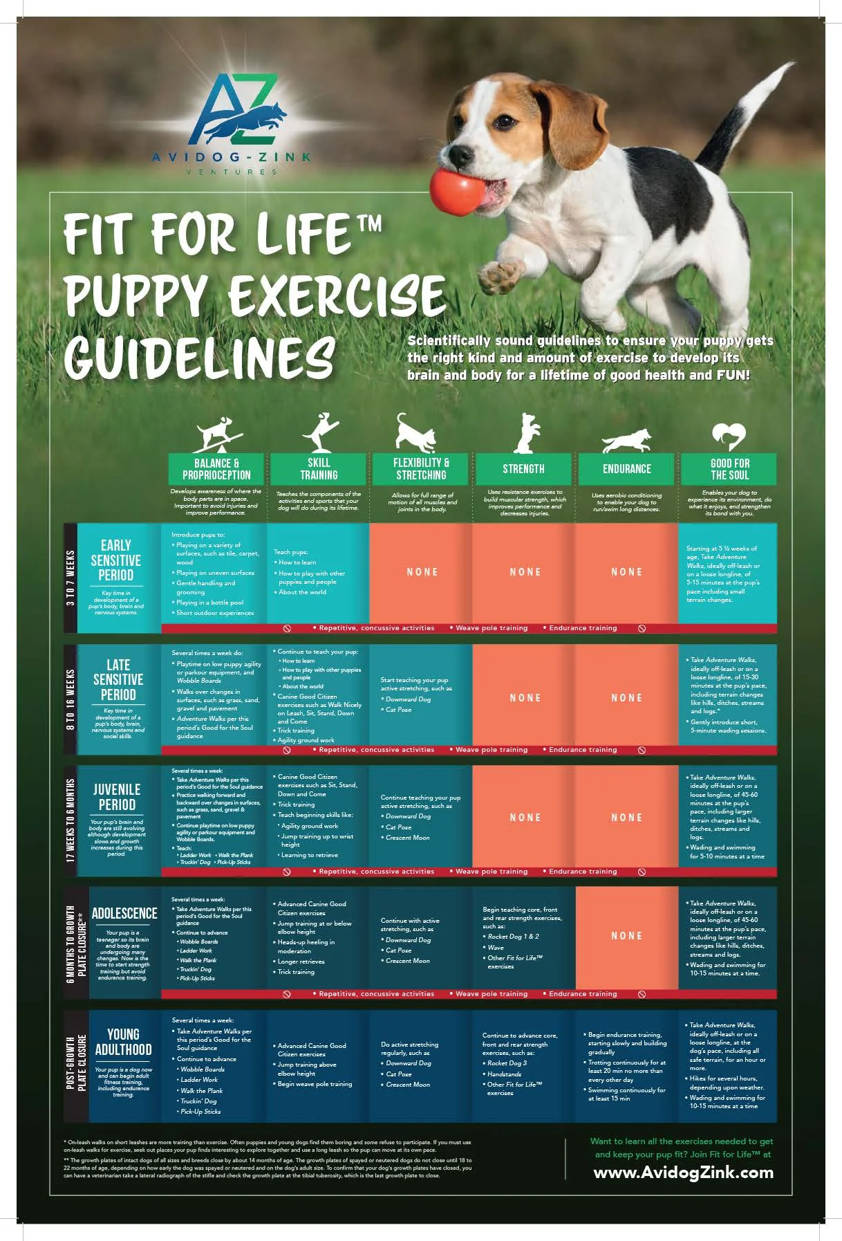 Exercising Your Dog Homeskooling 4 Dogs Exercising Your Dog Homeskooling 4 Dogs