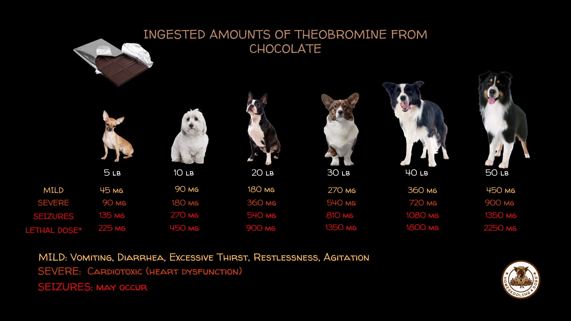 Chocolate (Cocoa) Toxic — Homeskooling 4 Dogs