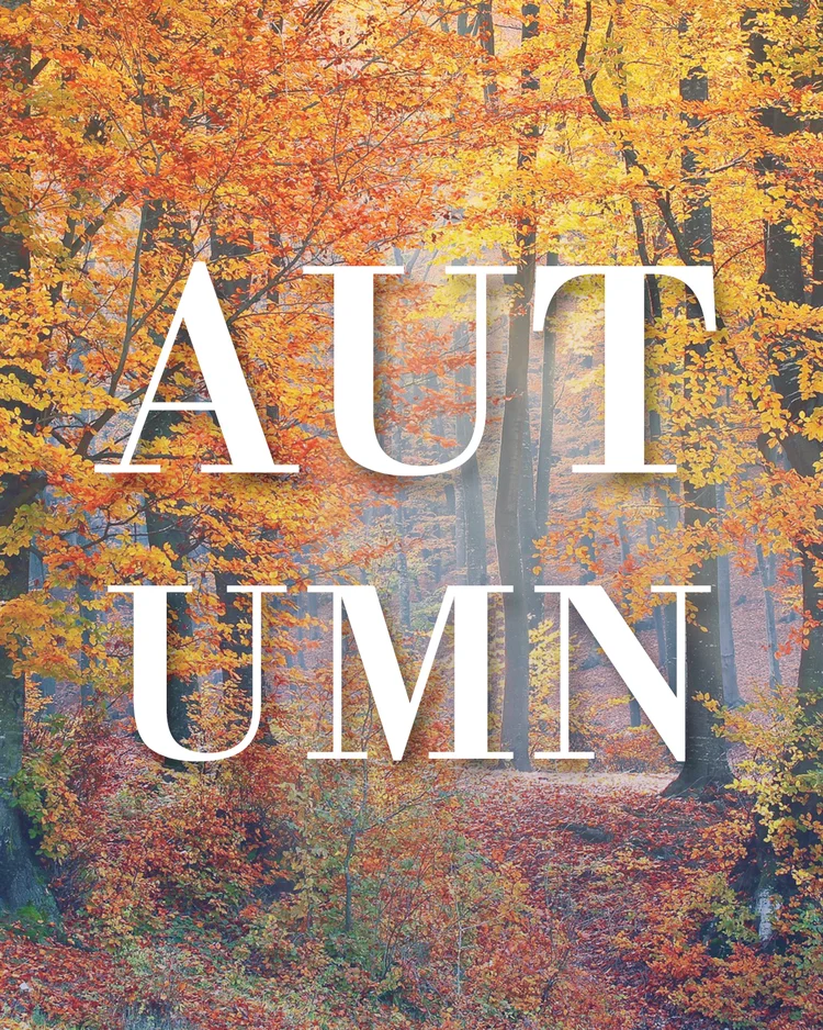 Free 8×10 Fall Printable Set — Journey With Jess | Inspiration for your ...