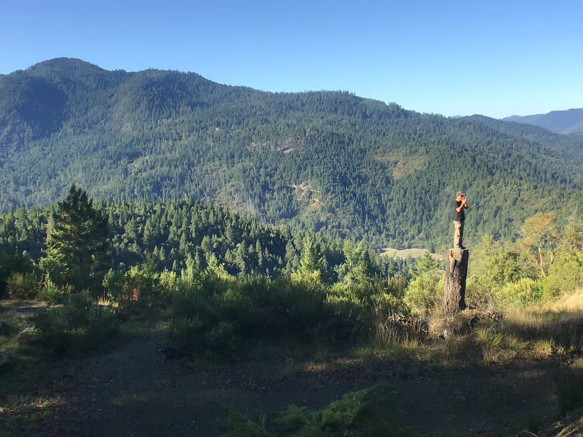 About Us — Talking Trees Farm